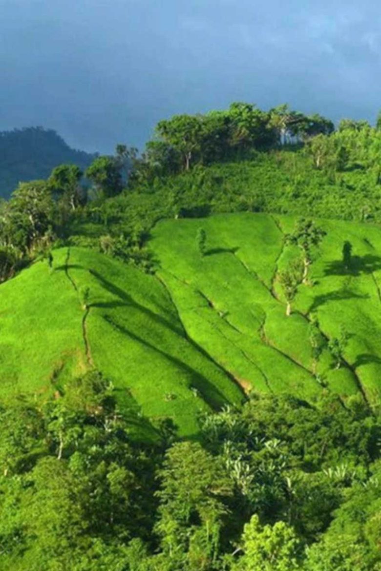 Chimbuk Hill Resort | Best Resort in Bandarban for a Relaxing Stay